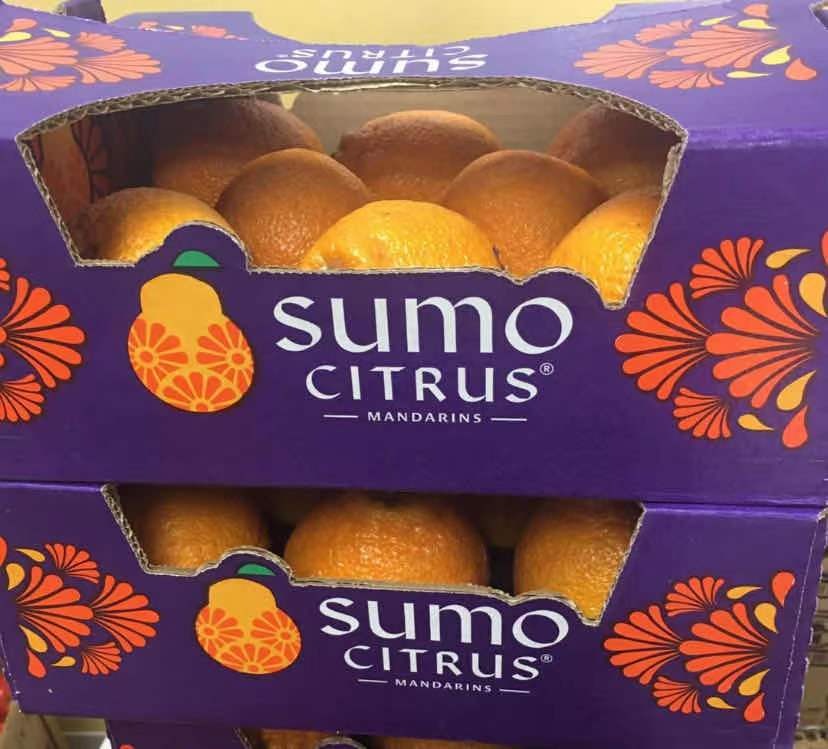 Jumbo Sumo Mandarin Gift Box - Weee!