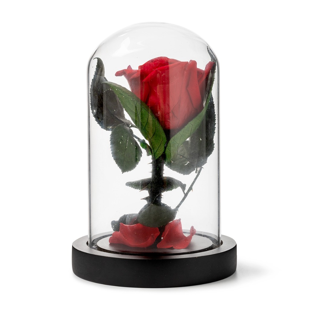 Weee! - Eternal Flowers Red Roses